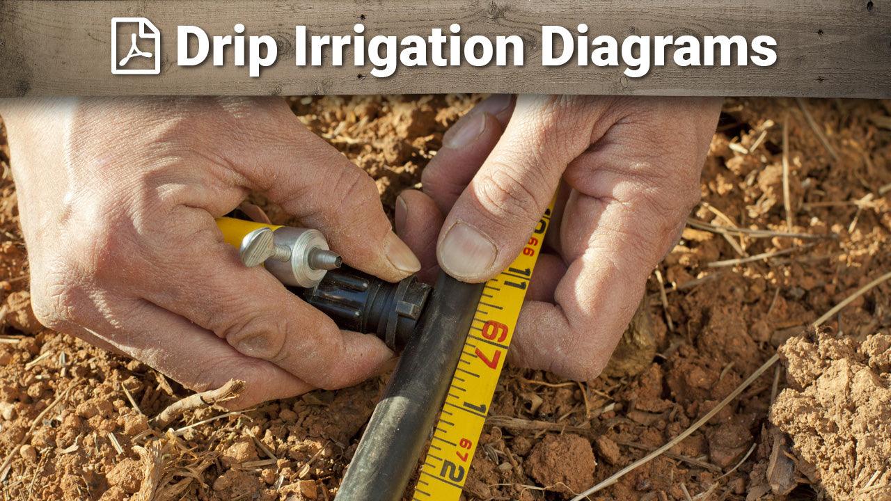 Drip Irrigation Diagram