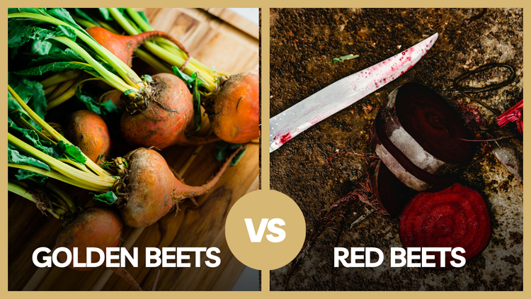Golden Beets vs Red Beets: Taste, Color & Cooking Tips Guide – Grow Organic