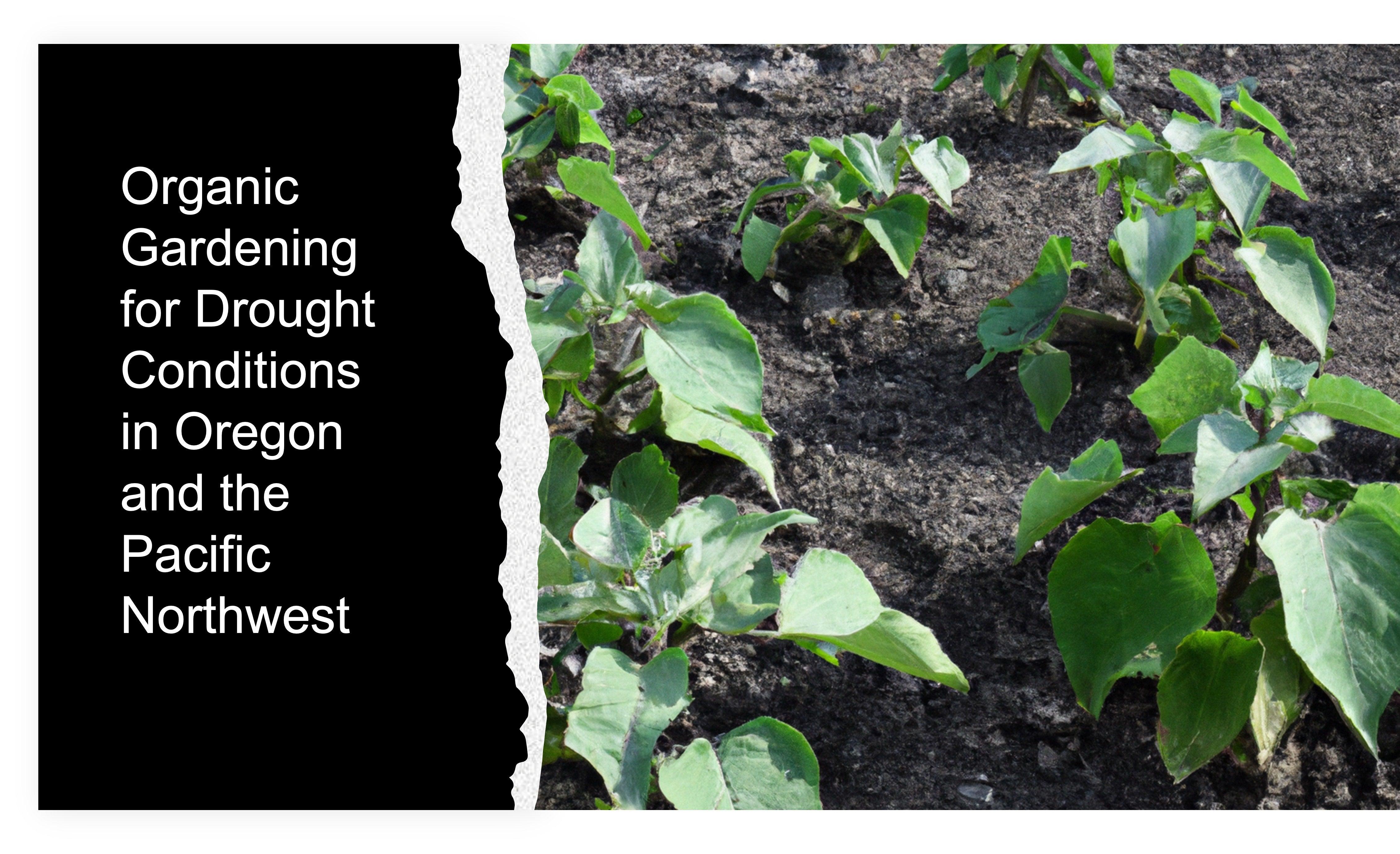 Organic Gardening Techniques for Oregon and the PNW – Grow Organic