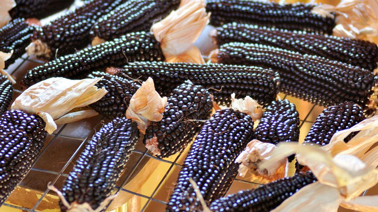 The Complete Guide to Growing Corn for Popcorn: Tips for Growing Popco ...