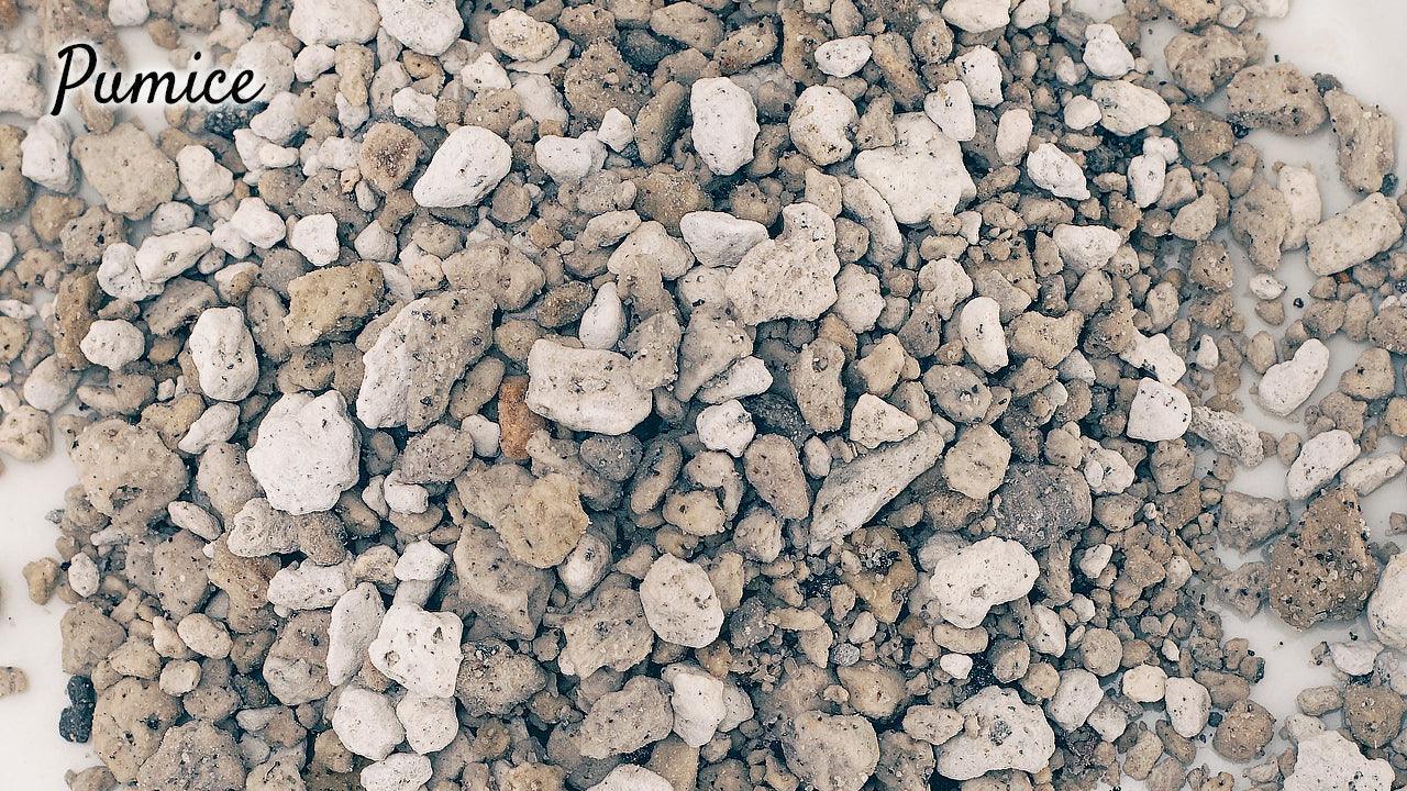What Is Pumice Used For? Benefits of Pumice for Plants – Grow Organic