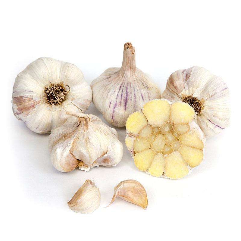 Garlic Seed | Organic & Heirloom Seed Garlic for Fall Planting – Grow ...