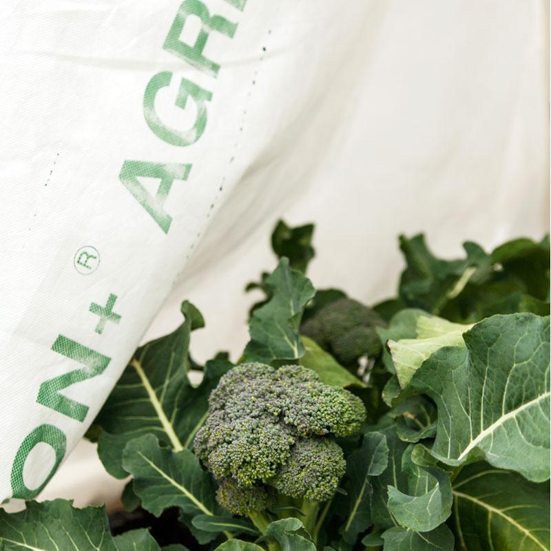 Agribon Row Covers for Frost Protection and Pest Control – Grow Organic