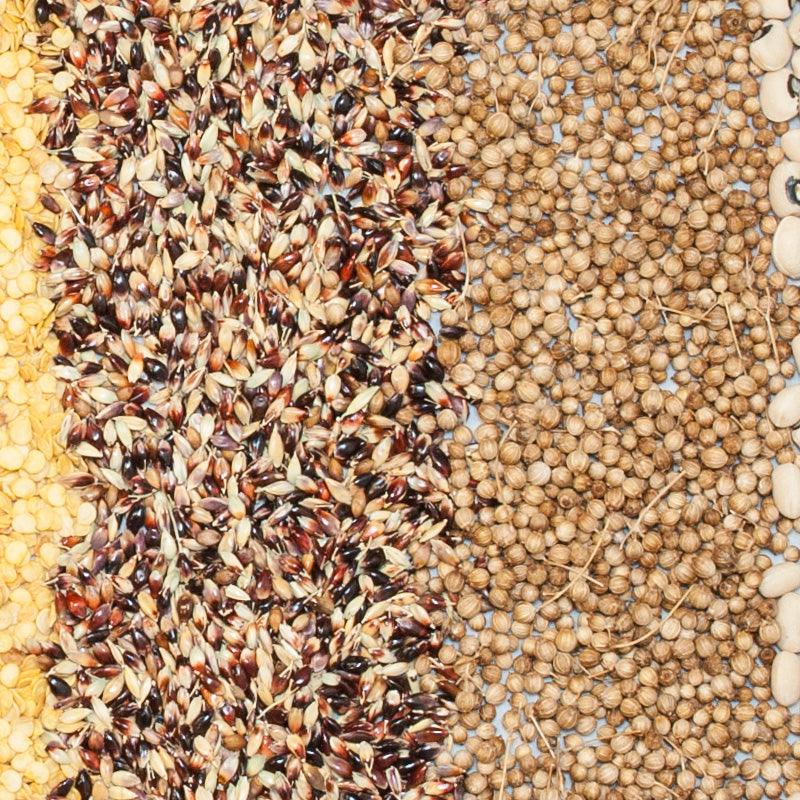 Peaceful Valley Seed Mixes – Grow Organic