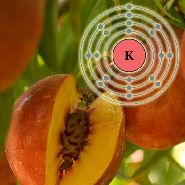 High Potassium Fertilizer | High Potassium Organic Fertilizer – Page 2 ...