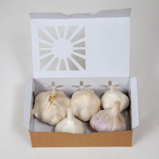 Full of Flavor Limited Edition Garlic Pack 2025 – Grow Organic