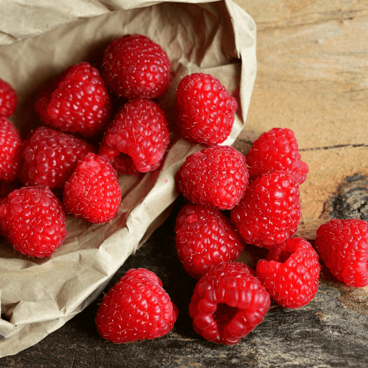 Organic Raspberries | Organic Raspberries for sale | Grow Organic