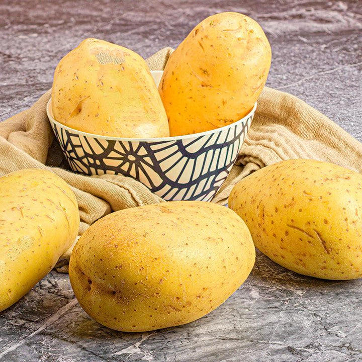 Organic Seed Potatoes for Sale | Grow Heirloom Potato Varieties – Grow ...