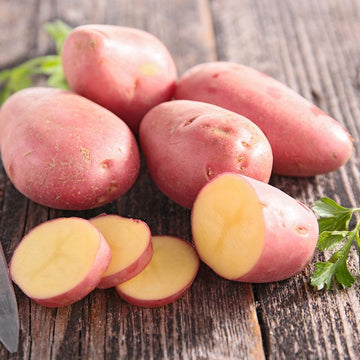 Organic Seed Potatoes | Seed Potatoes for Sale – Grow Organic