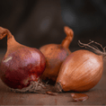 Organic Shallots, French Red - GrowOrganic – Grow Organic