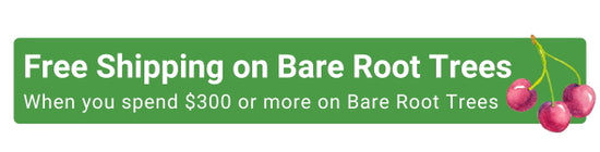 Aprium Tree | Aprium Trees for Sale & Grow Your Own Aprium Fruit – Grow ...