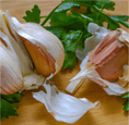 Conventionally Grown Garlic, German Red - Grow Organic