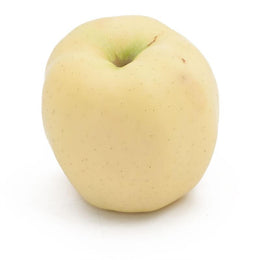 Apple Golden Delicious Tree (Dwarf) - Grow Organic
