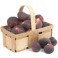 Black Mission Fig Tree | Black Mission Fig Tree For Sale (Potted ...