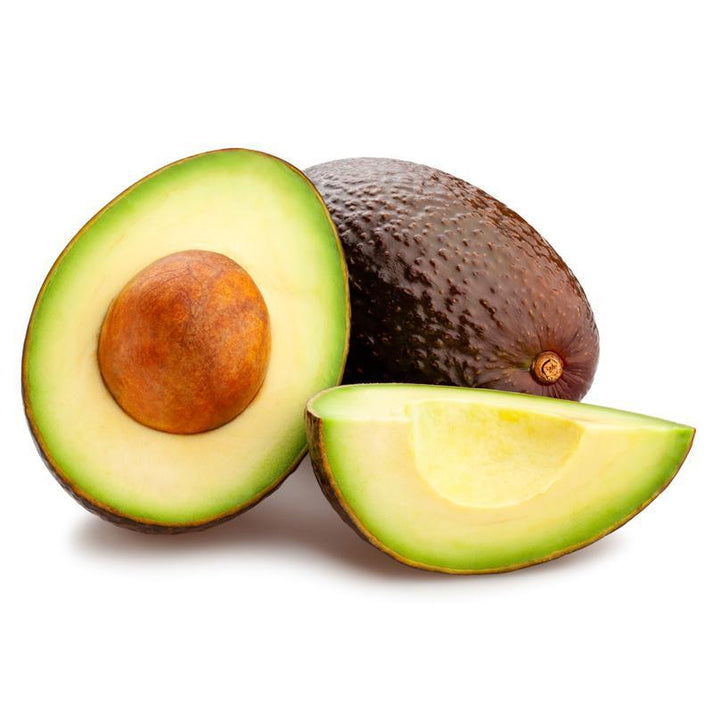 Carmen Hass Avocado Tree (Standard) (Potted) - Grow Organic