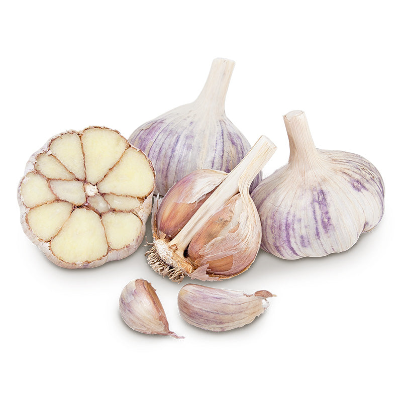 Conventionally Grown Garlic, Spanish Roja – Grow Organic