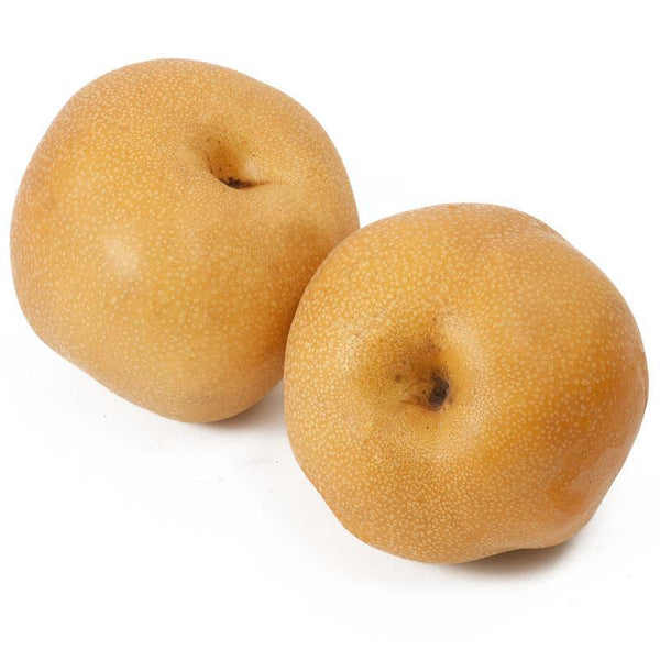 Hosui Asian Pear Tree for Sale - Grow Organic