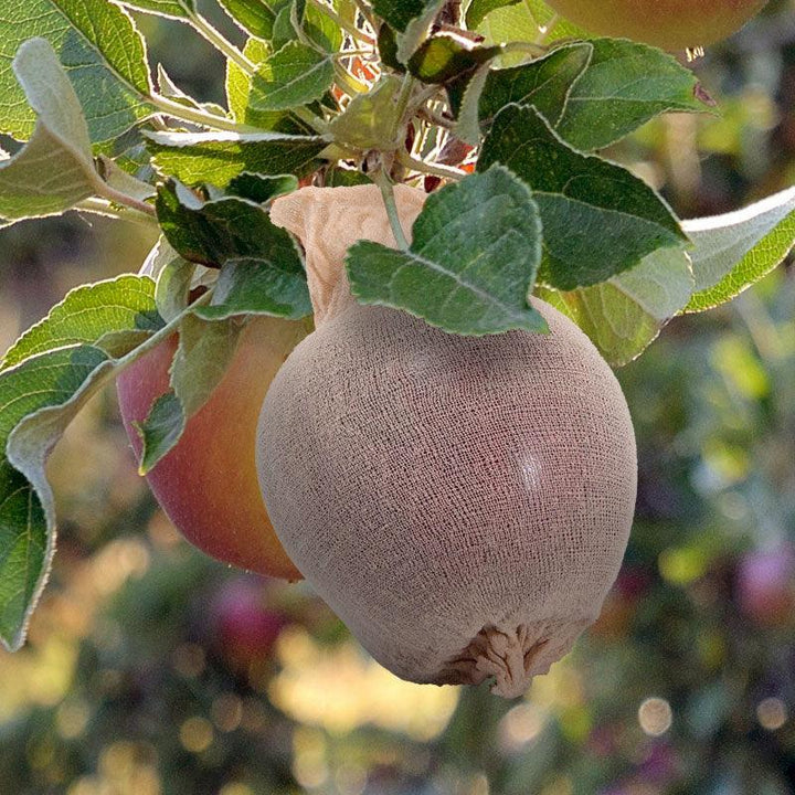 Insect Barriers for Sale - Grow Organic