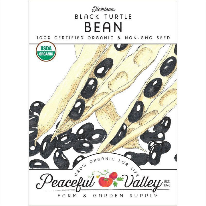 What Are Black Turtle Beans? Growth Process & Popular Uses – Grow Organic