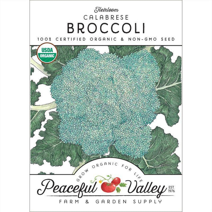 Calabrese Broccoli Seeds (Organic) for Sale - Grow Organic