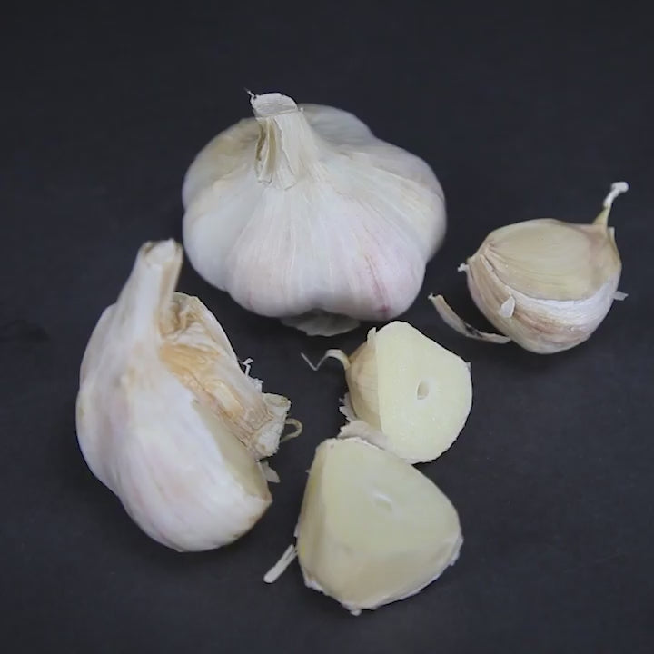 9 Steps on How to Grow Big Garlic: Expert Tips on Fertilizer for Garlic ...