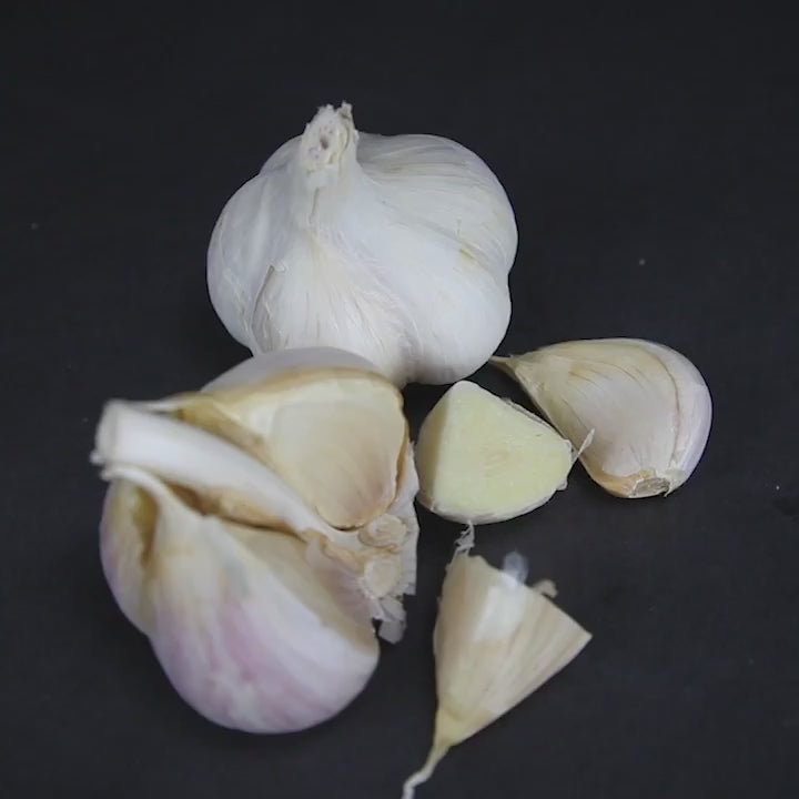 How to Grow Big Garlic Bulbs: 9 Steps for Larger Heads – Grow Organic