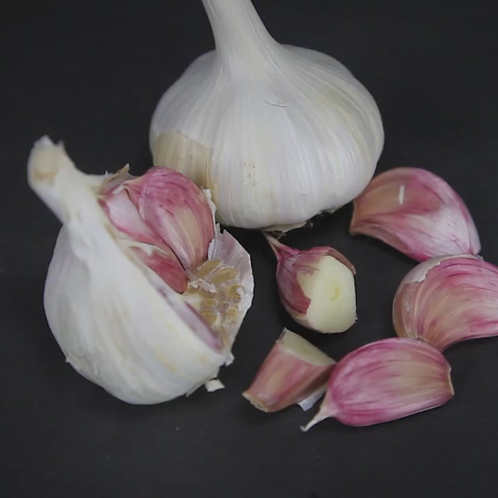Conventionally Grown Garlic, German Red - Grow Organic
