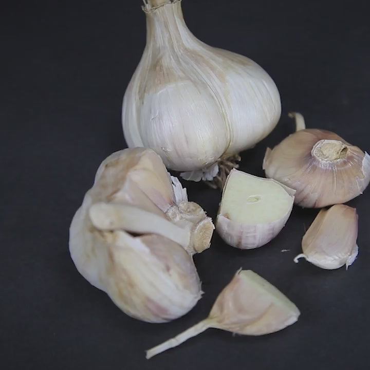 How to Grow Big Garlic Bulbs: 9 Steps for Larger Heads – Grow Organic
