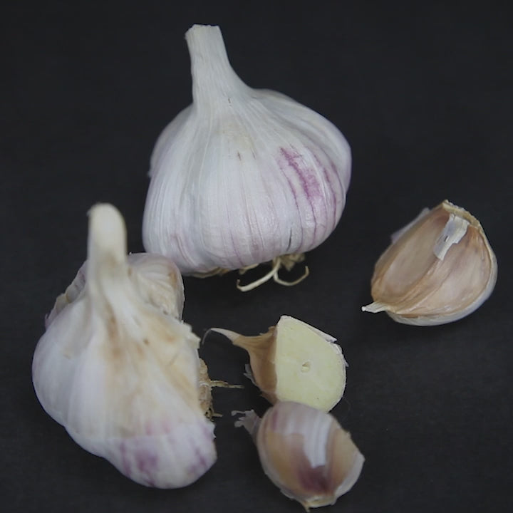 9 Steps on How to Grow Big Garlic: Expert Tips on Fertilizer for Garlic ...