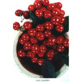 Semi-Dwarf Bare Root Van Cherry Tree for Sale – Grow Organic