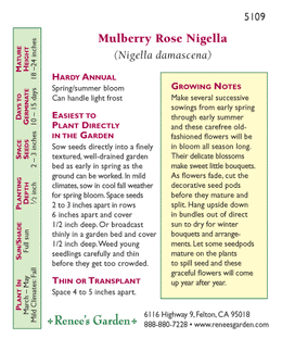 Mulberry Rose Love In A Mist Nigella Flower Seeds – Grow Organic