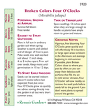 Broken Colors Four O'Clock Flower Seeds – Grow Organic