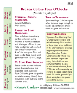 Broken Colors Four O'Clock Flower Seeds – Grow Organic