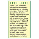 Renee's Garden Squash Summer Zucchini Astia - Grow Organic