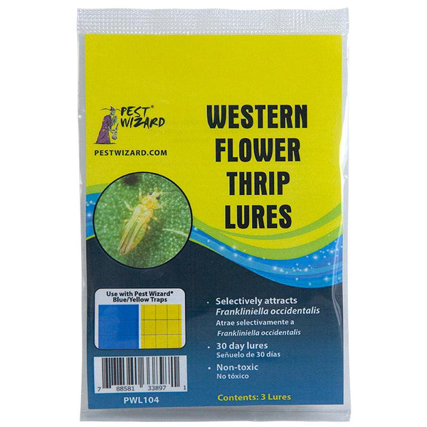 Western Flower Thrips Organic Control | Best Flower Site