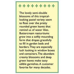 Buttercream Mounding Nasturtium Flower Seeds – Grow Organic