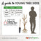 Utah Giant Cherry Tree for Sale – Grow Organic