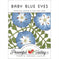 Baby Blue Eyes (pack) - Grow Organic