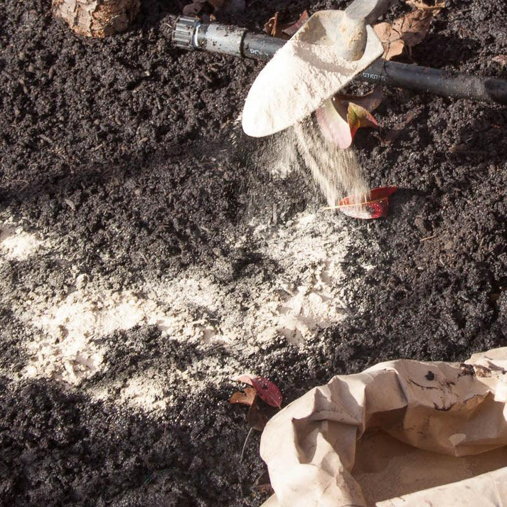 Calphos | Calphos Soft Rock Phosphate - Fertilizer (50 lb) – Grow Organic