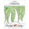 Napa Bilko Cabbage Seeds (Organic) - Grow Organic