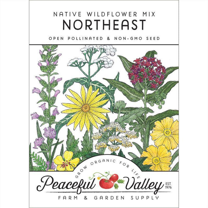 Regional Northeast Native Wildflower Mix (pack) – Grow Organic
