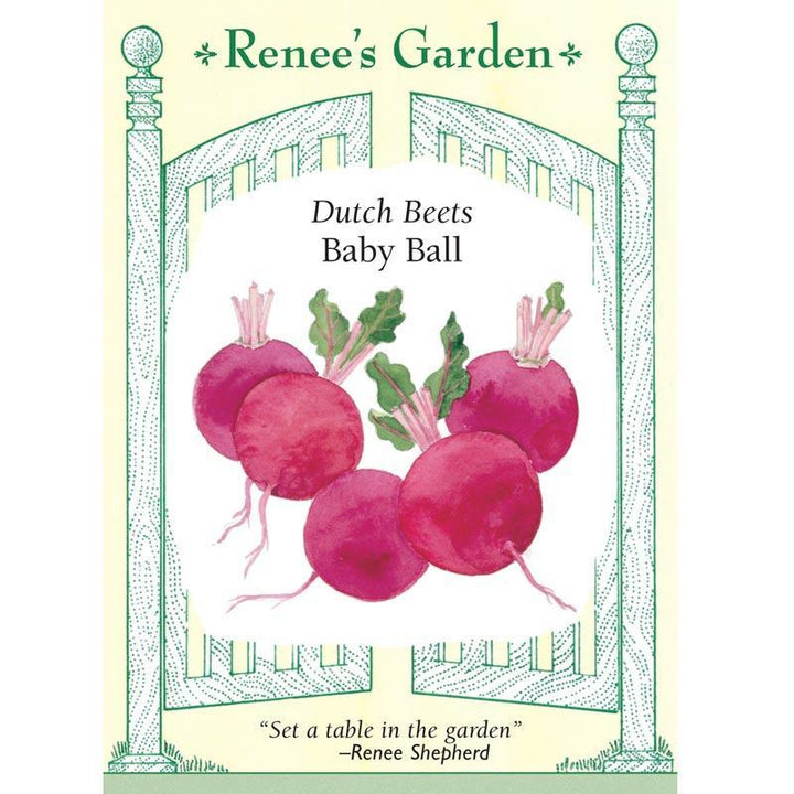 How to Plant Beets: Beet Spacing Tips for a Bigger Harvest – Grow Organic