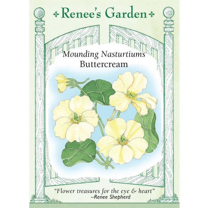Buttercream Mounding Nasturtium Flower Seeds – Grow Organic