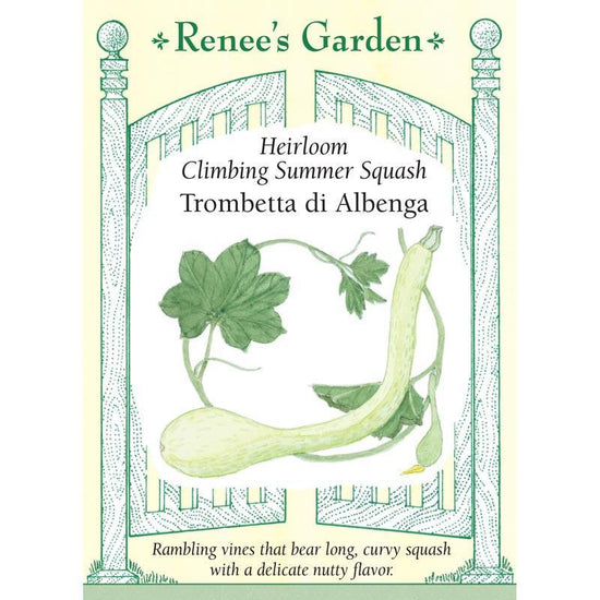 Renee's Garden Squash Summer Climbing Trombetta di Albinga – Grow Organic