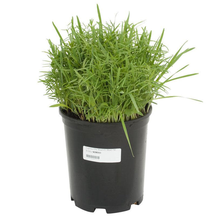 Peaceful Valley Legume Oat Mix #2 - Raw Seed – Grow Organic