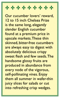 Renee's Garden - Chelsea Prize Cucumber | English Cucumber Seed – Grow ...