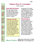 Renee's Garden - Chelsea Prize Cucumber | English Cucumber Seed – Grow ...