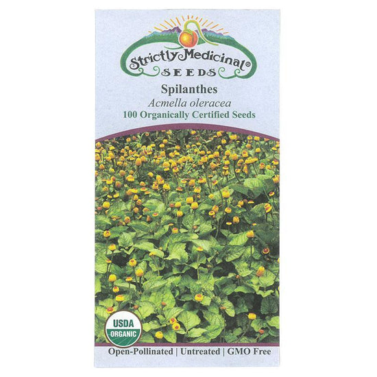 Strictly Medicinal Organic Spilanthes - Grow Organic
