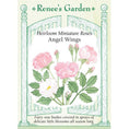 Renee's Garden Rose Miniature Angel Wings - Grow Organic